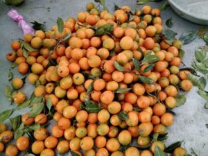 A Guide to the Fruits of Cambodia - Life Untraveled