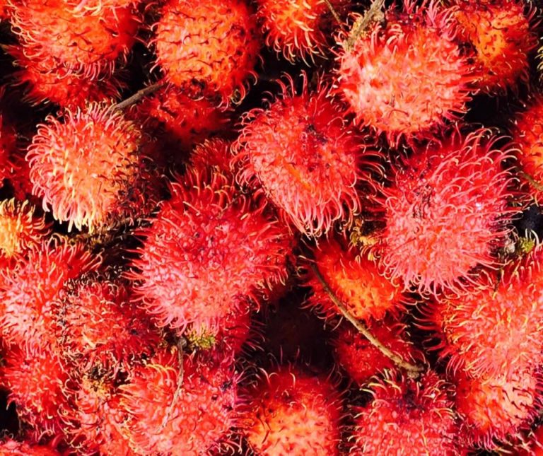 A Guide to the Fruits of Cambodia - Life Untraveled